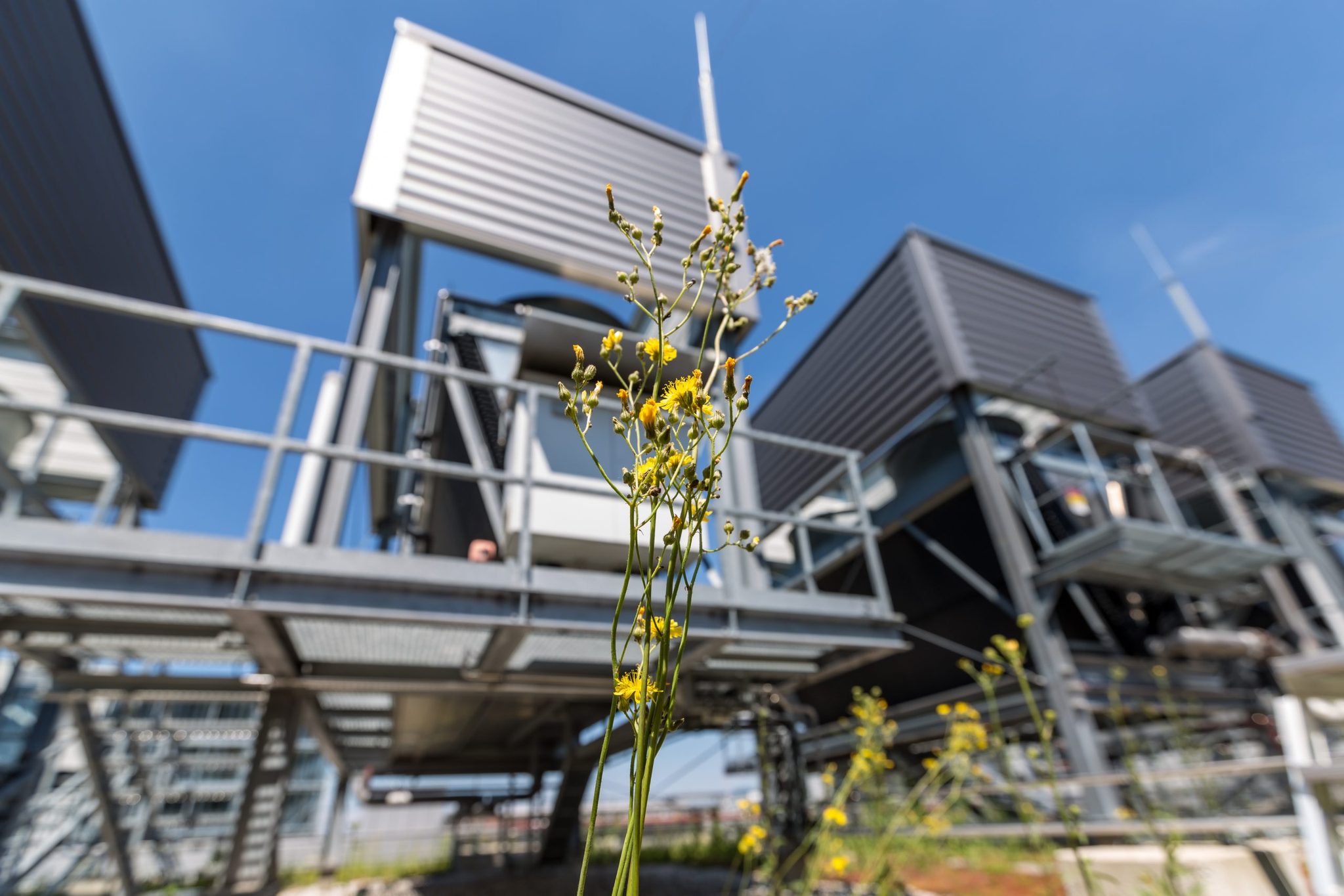 Green IT in the Siemens EAGLE Data Center by Alina Rusteberg on Siemens ...
