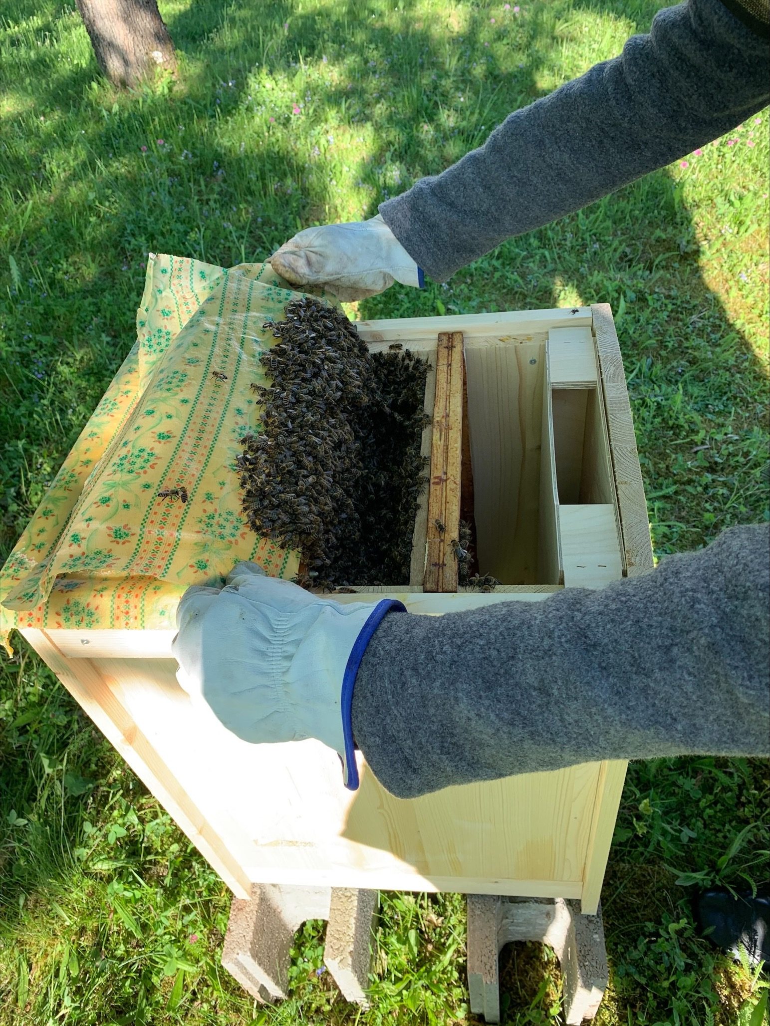 #SieBees: New colleagues in Munich Perlach by Birgit Fridrich on ...